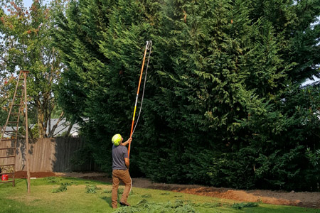 Tree Trimming Vancouver WA | Arbor City Tree Care